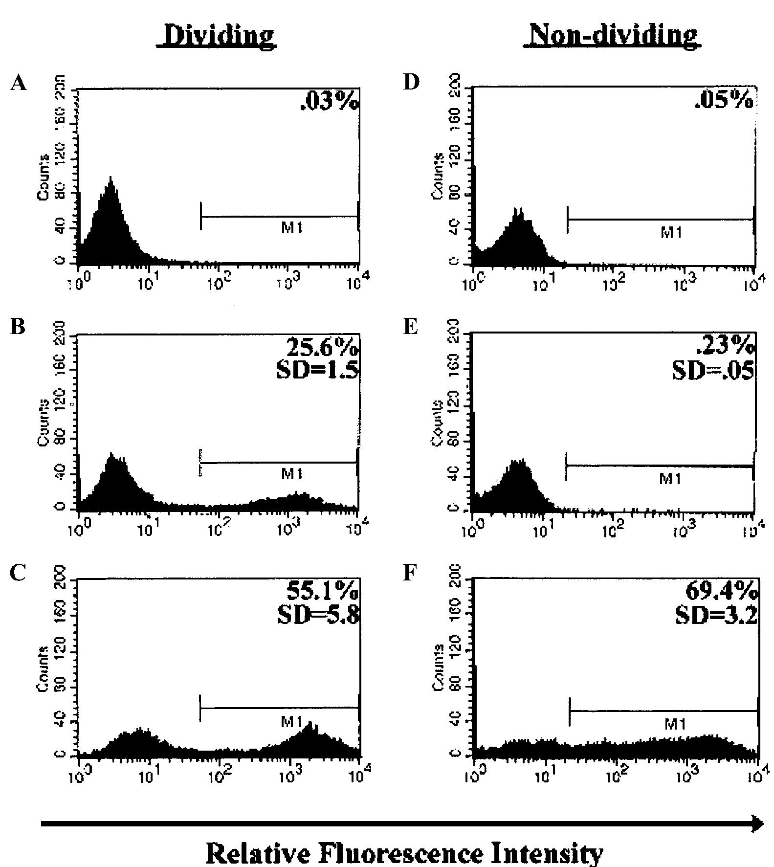 Flow cytometry analysis of biv vector-mediated egfp