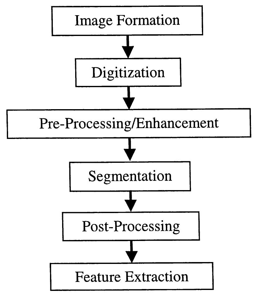 The typical sequence of image processing and analysis. the