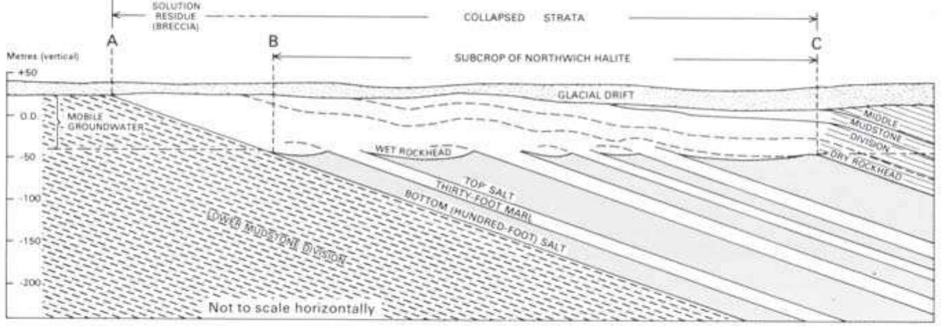 A geological cross section of the middlewich area (taken