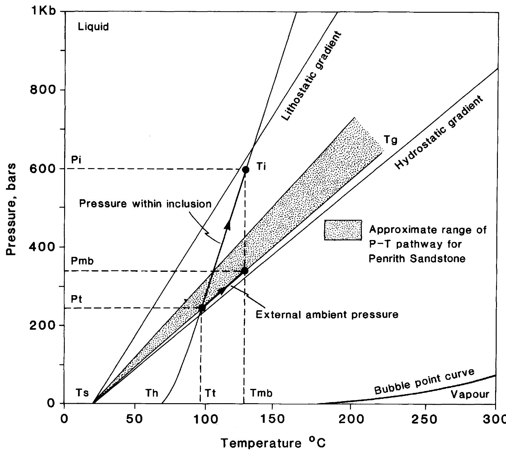 P-t phase diagram for the 20 wt.% nacl-h,o system