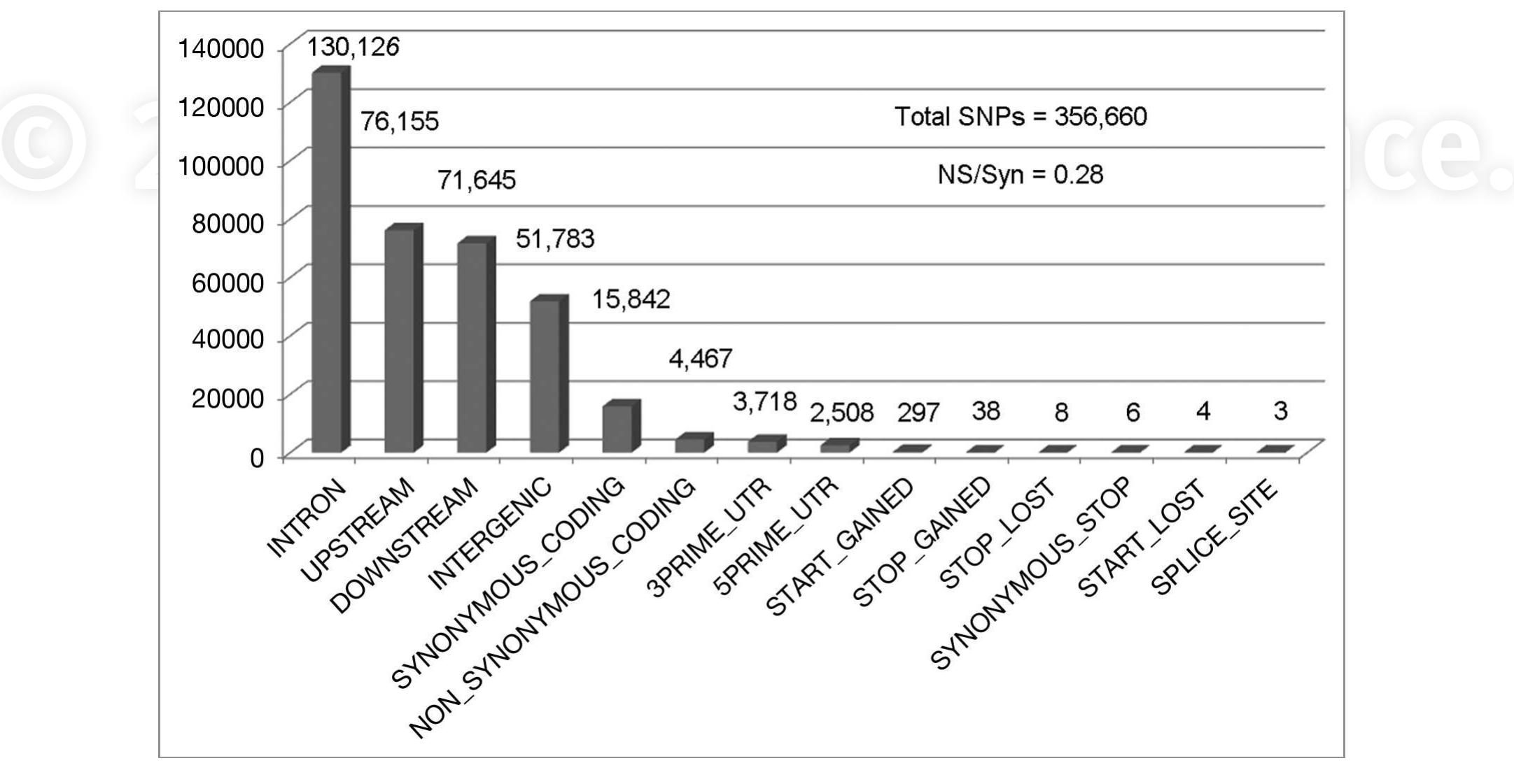 Classification of snps in w'""®; iso-2; iso-3. the number of