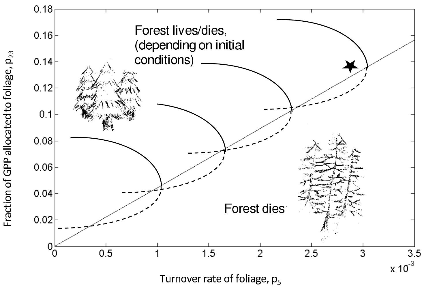 Schematic diagram showing how the path of limit points
