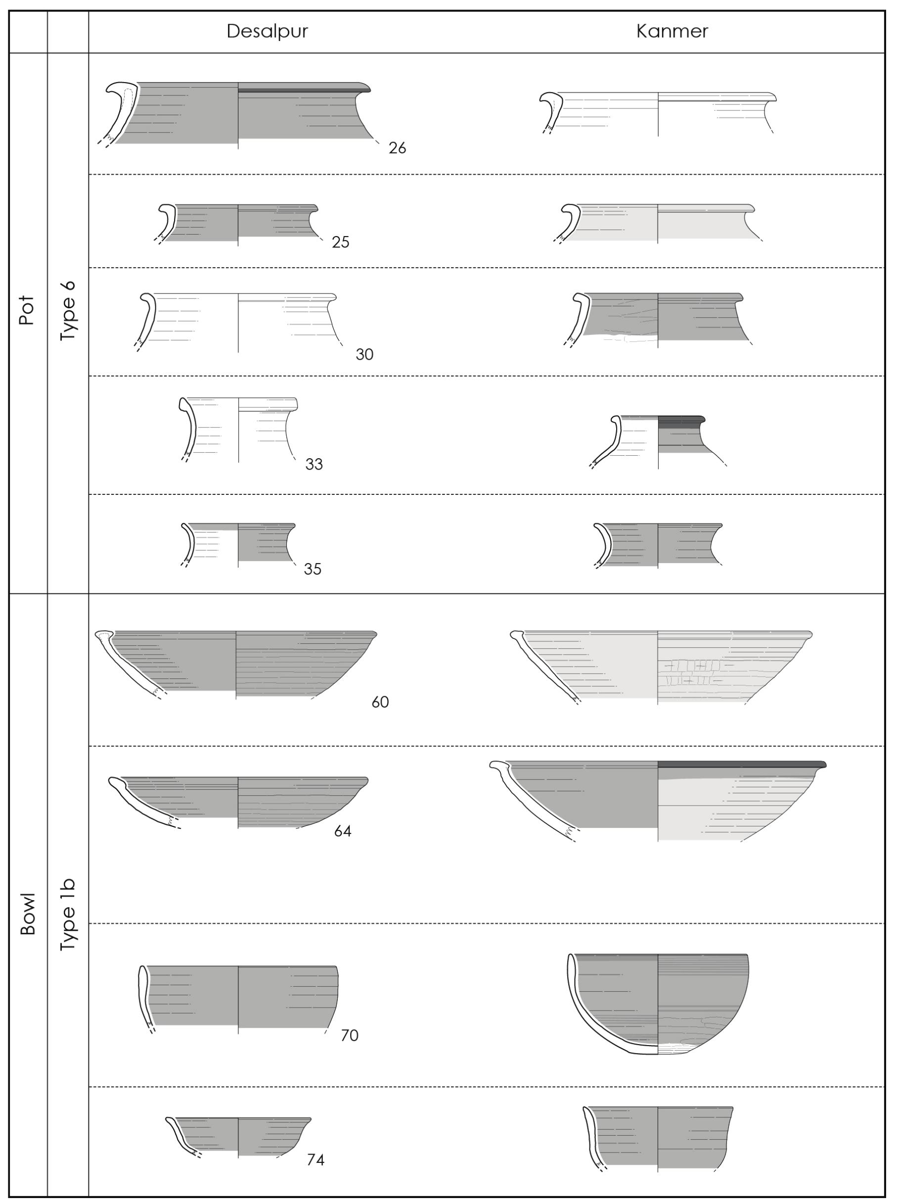 Formal comparison between specimens from desalpur and kanmer