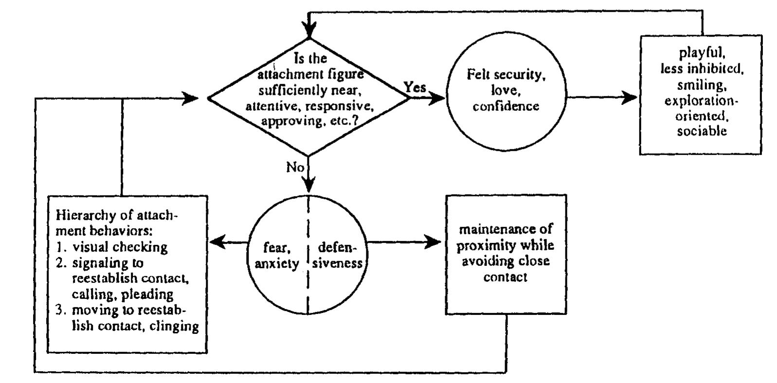 A flowchart model of the attachment behavioral system. many