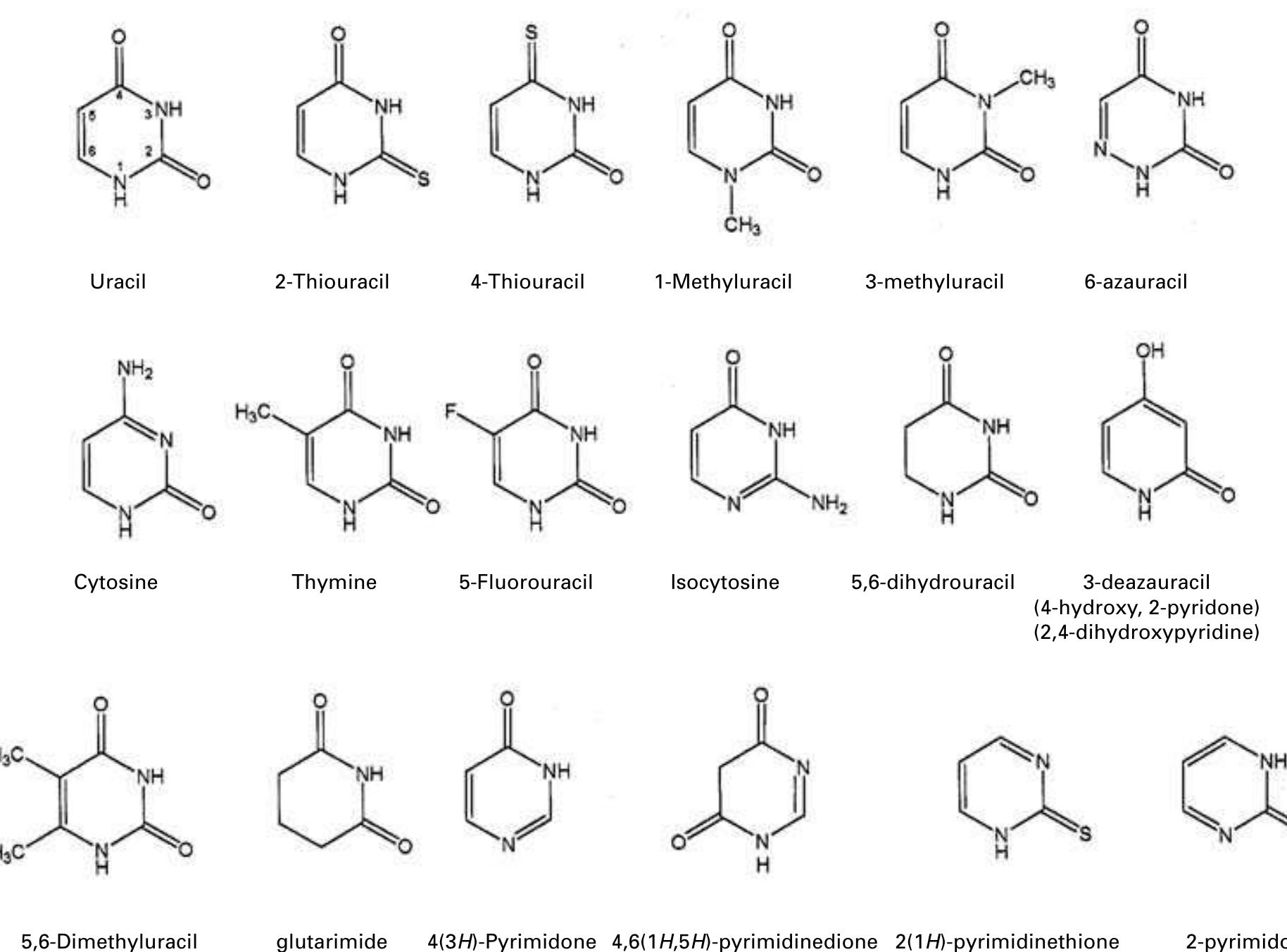 Preferred tautomeric isomers of some tested pyrimidine