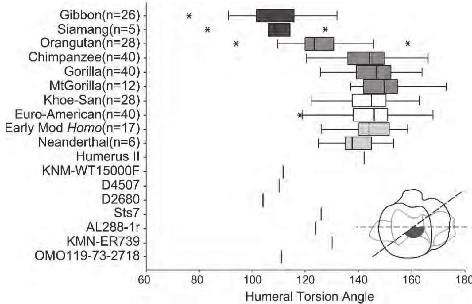 (PDF) Biogeochemical Evidence for the Environments of Early Homo in ...