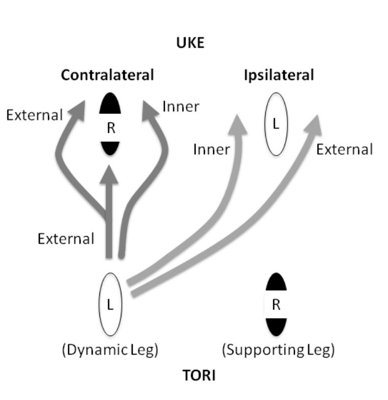Directions and spatial zones of the dynamic leg external