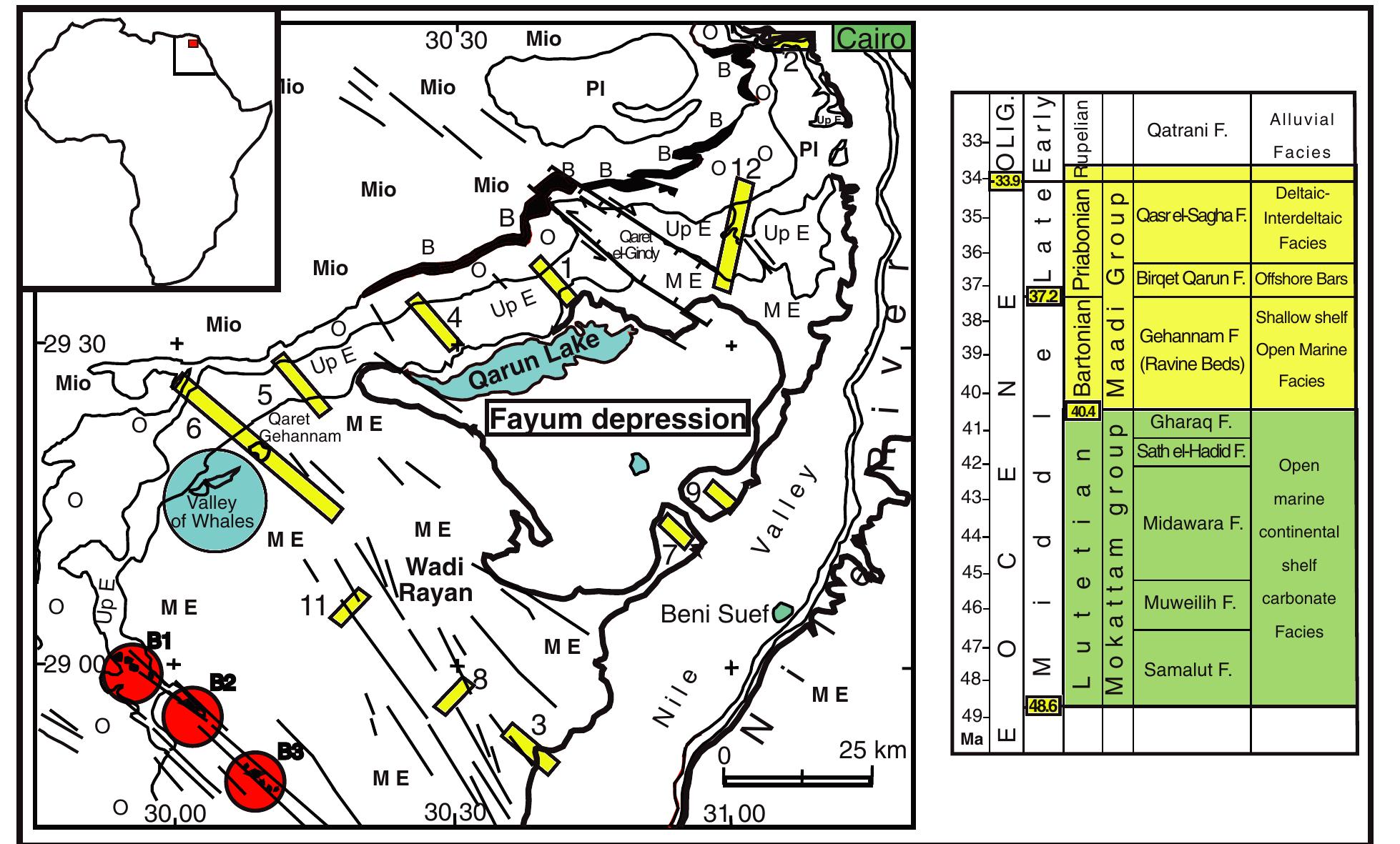 Schematic geologic map of the fayum province and the valley