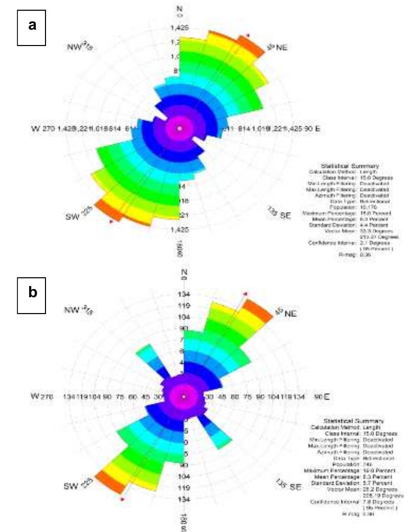 A) rose diagram showing the surface structure lineaments of