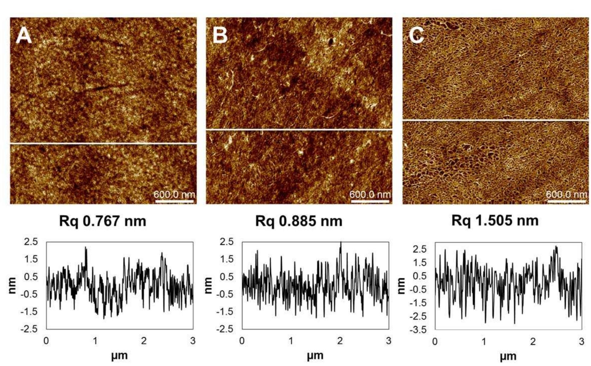 - afm height images and corresponding roughness profiles of
