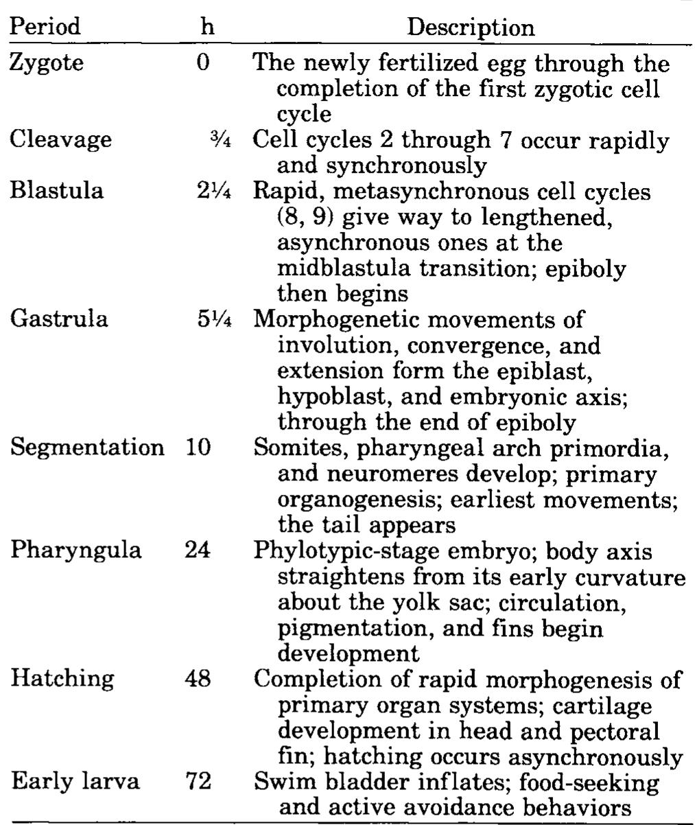 (PDF) Stages of embryonic development of the zebrafish