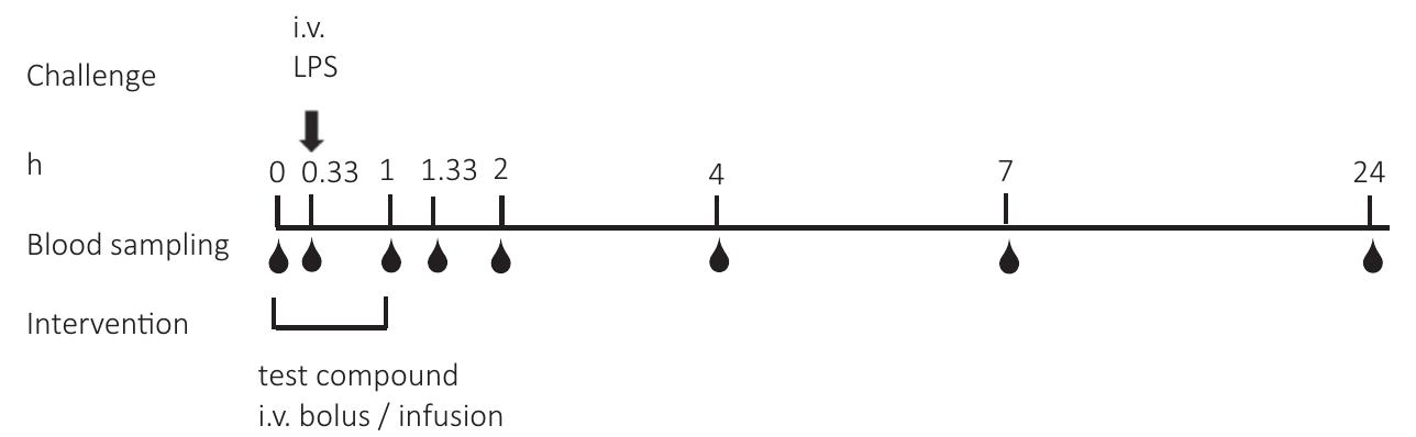 Schematic presentation of the design of case study 4.