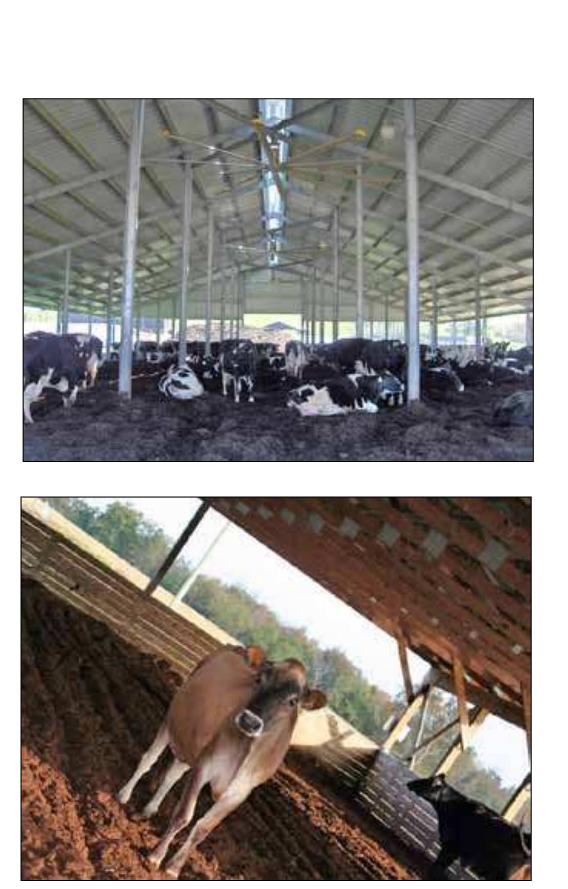 Figure 1 - Compost Bedded Pack Barn Design: Features and