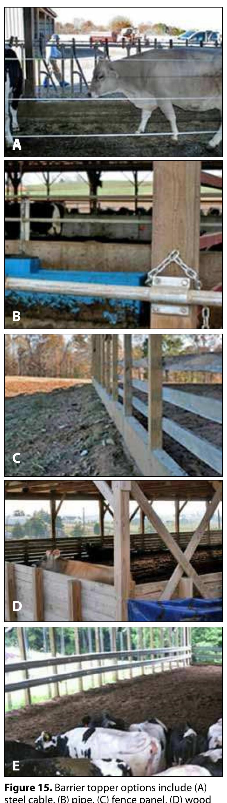 Figure 18 - Compost Bedded Pack Barn Design: Features and