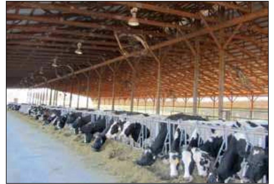 Figure 24 - Compost Bedded Pack Barn Design: Features and