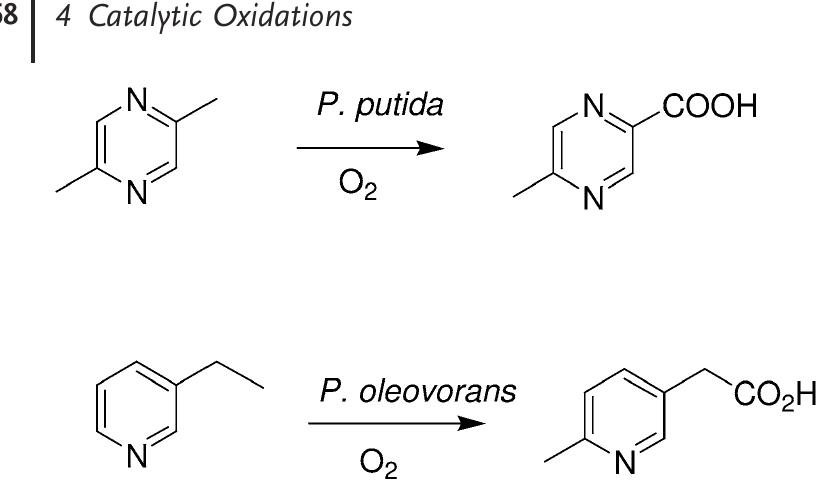 52 biocatalytic oxidation of alkyl groups on aromatic