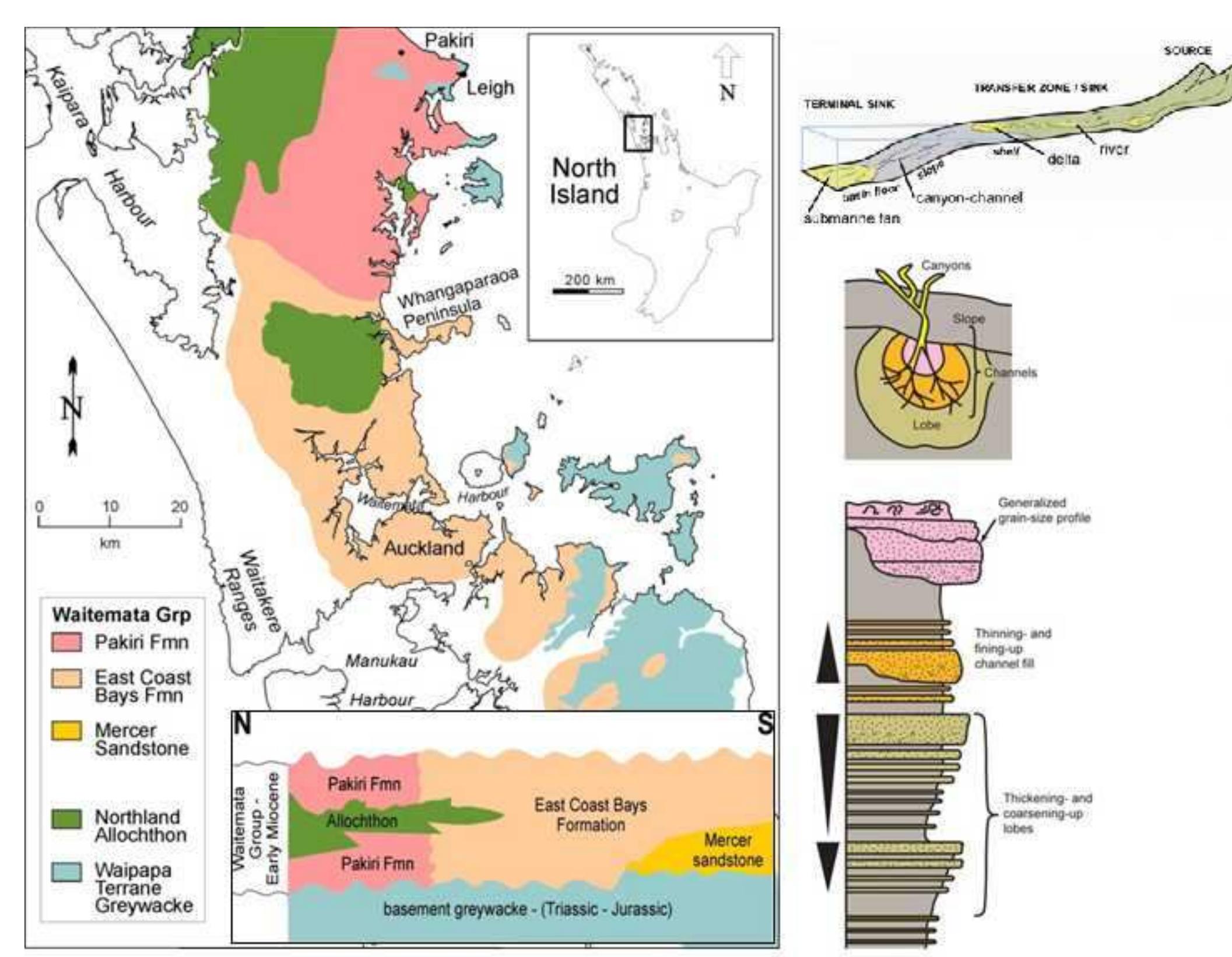 Schematic geological map and section of auckland, after