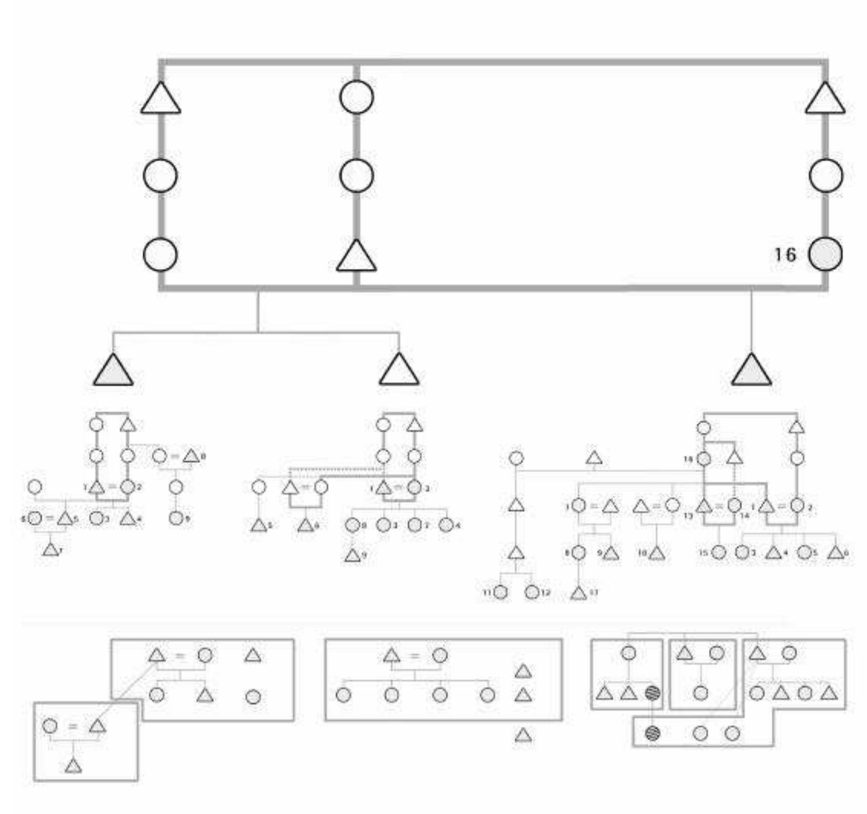 Figure 9 - from Invisible to the state: kinship and the
