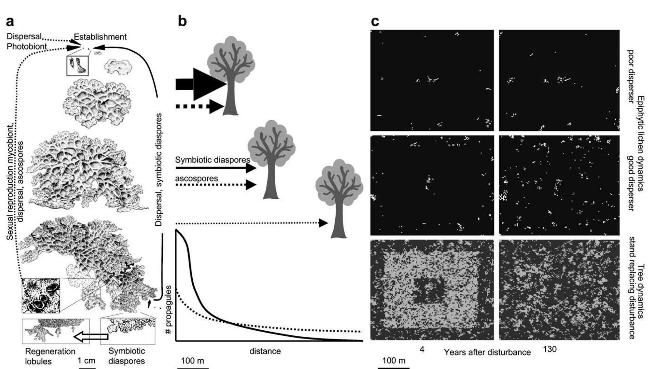 Figure 4 - from Conservation strategies for lichens: