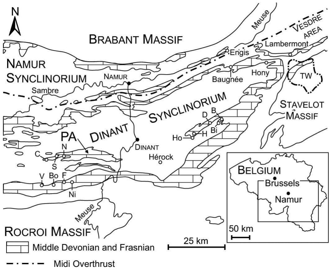 schematic geological map of southern belgium.
