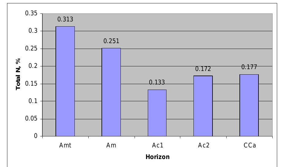 Evolution of total nitrogen in the polluted profile achieved