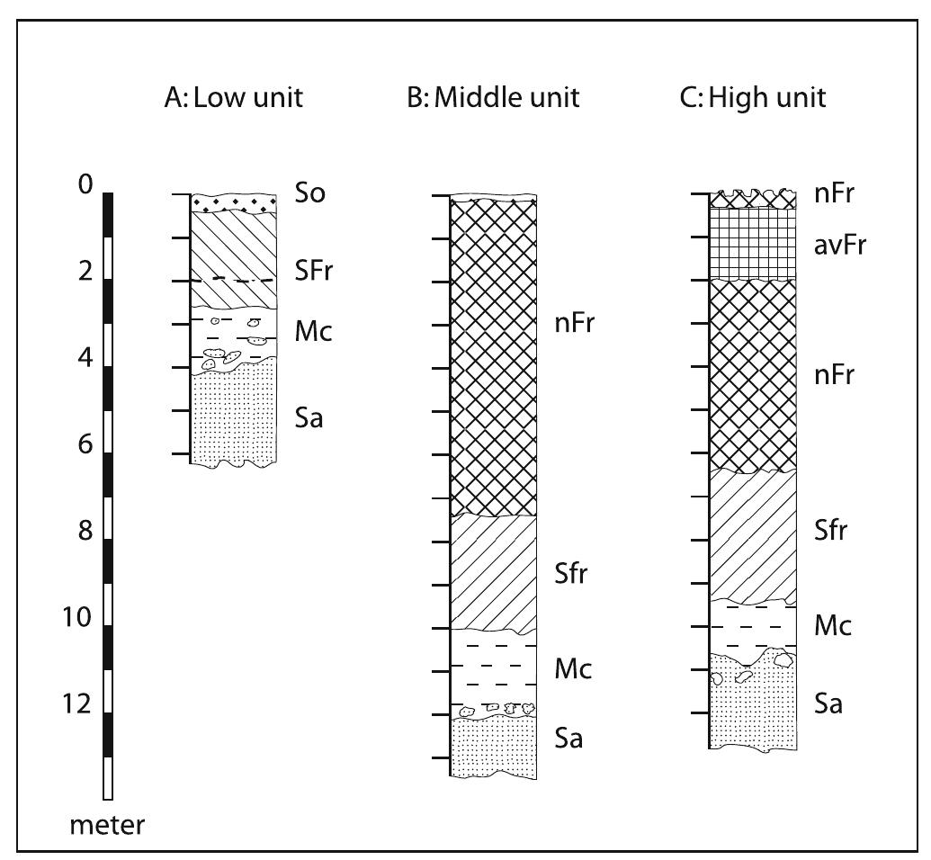 Petrographic vertical sections showing the component
