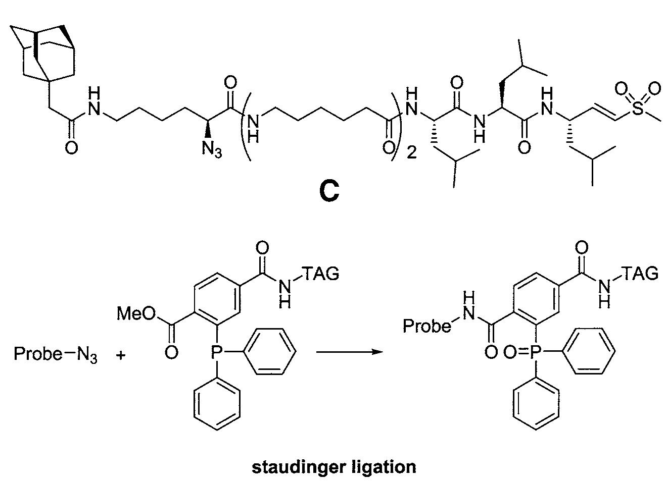 Chemical structure of a daa hx(a-n3)ahx2l3vs (c) and