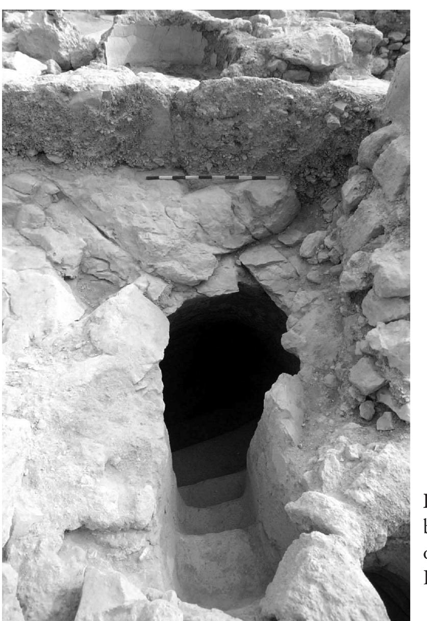 Descent into the pool; differing numbers of steps; and