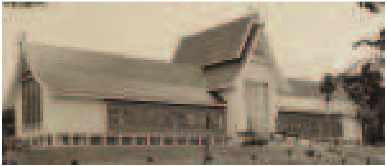 Figure 6 - from Tan Sri Dato'Dr Mubin Sheppard: Pioneer in