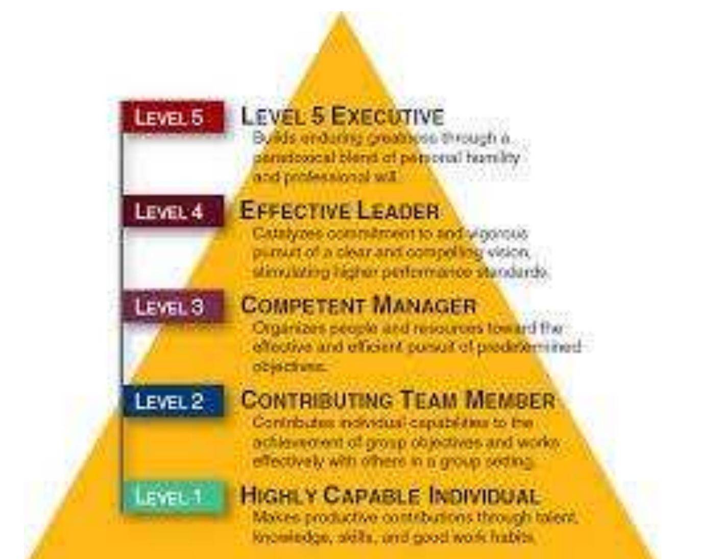 (PDF) Leadership for Health Professionals