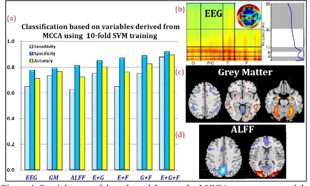 Presents the overlapped spatial maps (extracted by |z|>3) of