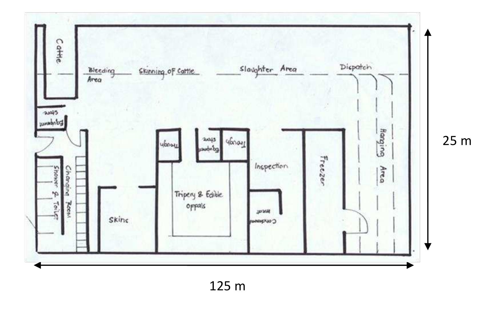 Slaughter house layout