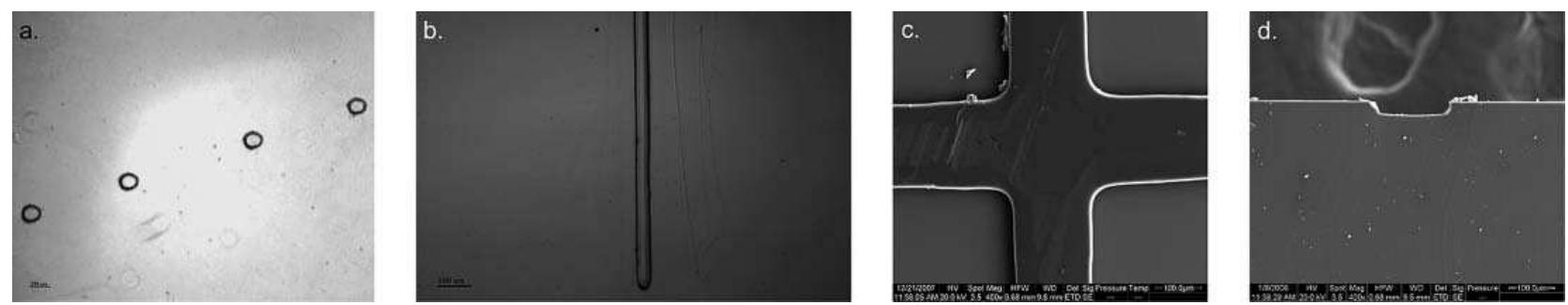 Direct writing lithography in su-8 a. optical microscope