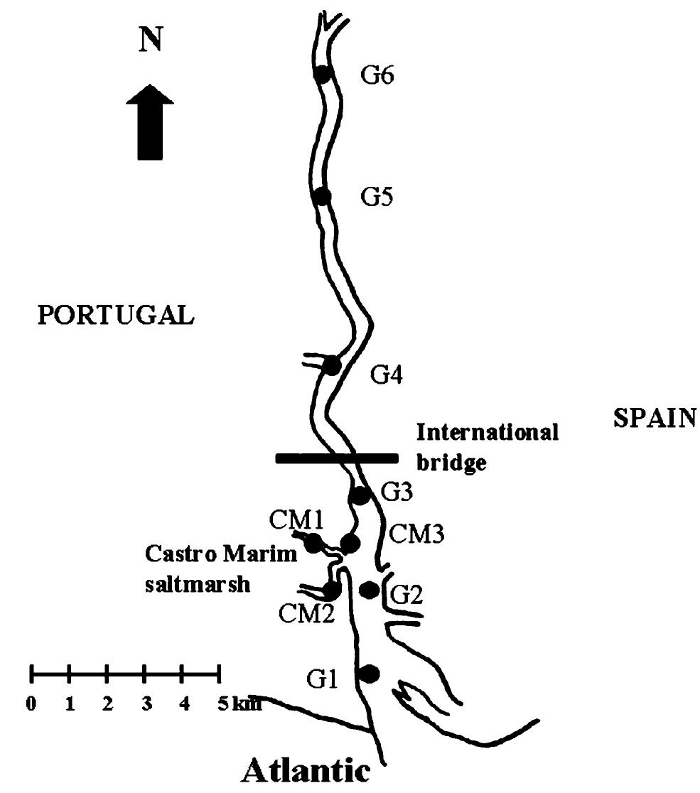 Map of sampling sites in the lower guadiana river and castro