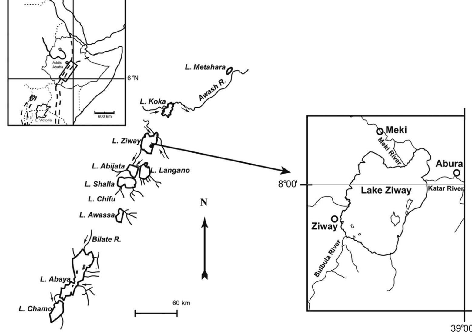 The map of lake ziway (deribe et al., 2013).
