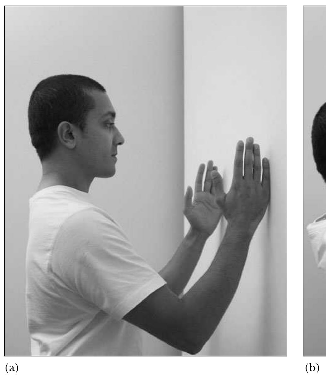 7. standing shoulder flexion — (a) before, (b) after