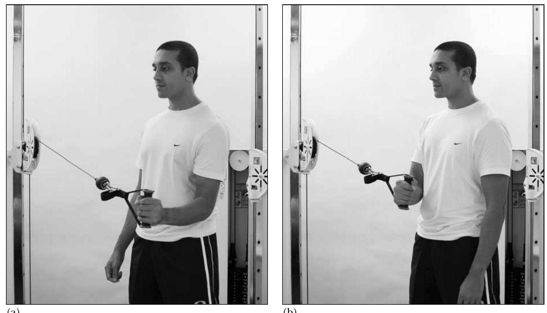 21. medial/lateral rotation — (a) lateral rotation end