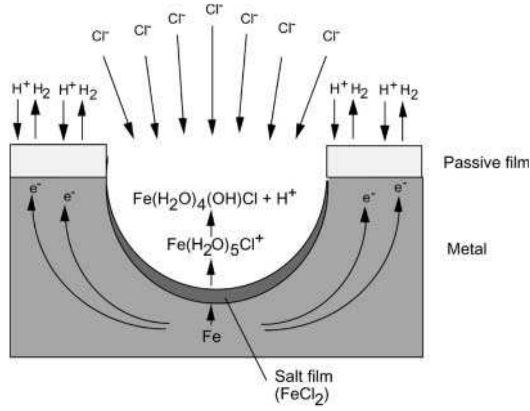 Schematic cross section through an actively growing pit.