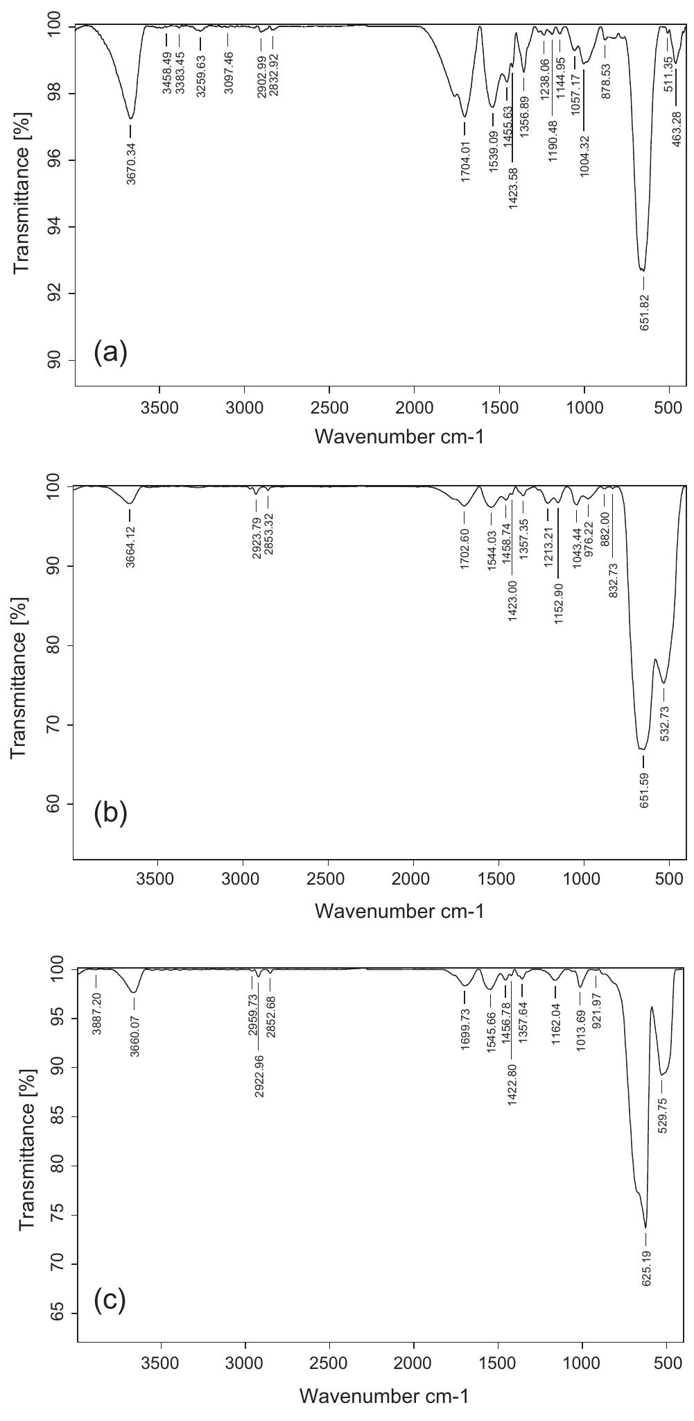 Ft-ir spectra of sno2 nanoparticles formed at (a) 200 °c,