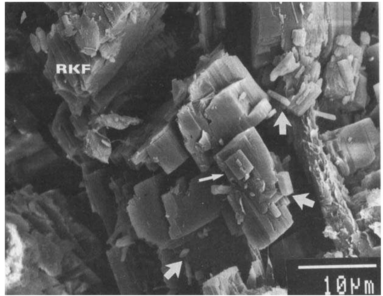A sem micrograph of a k-feldspar pseudomorph composed of