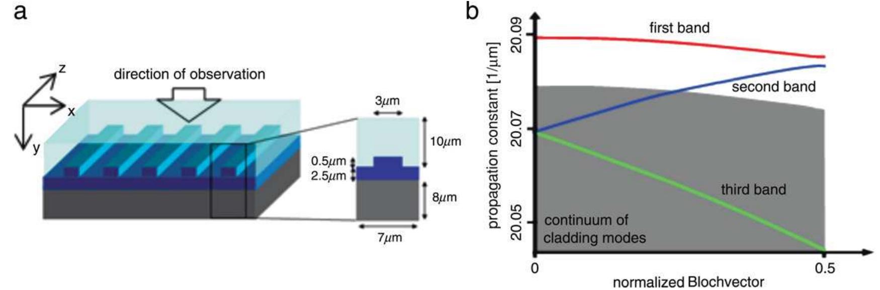20. (a) schematic of the polymer waveguide array used in the