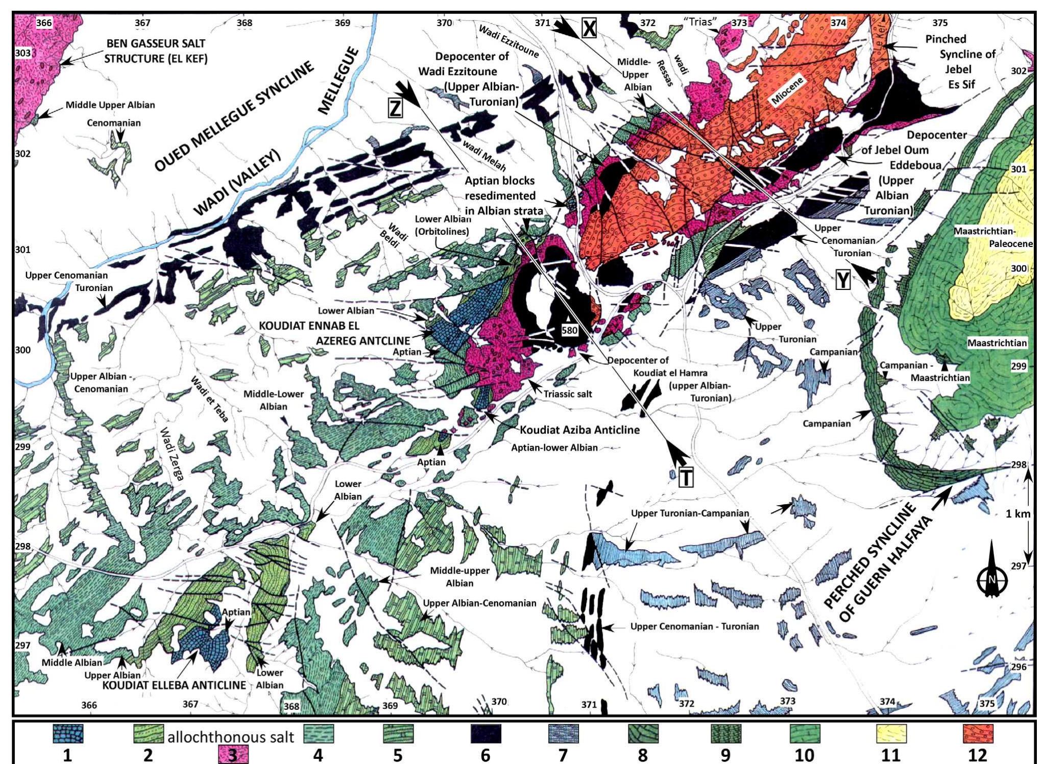 Detailed geologic map of the guern halfaya salt structure,