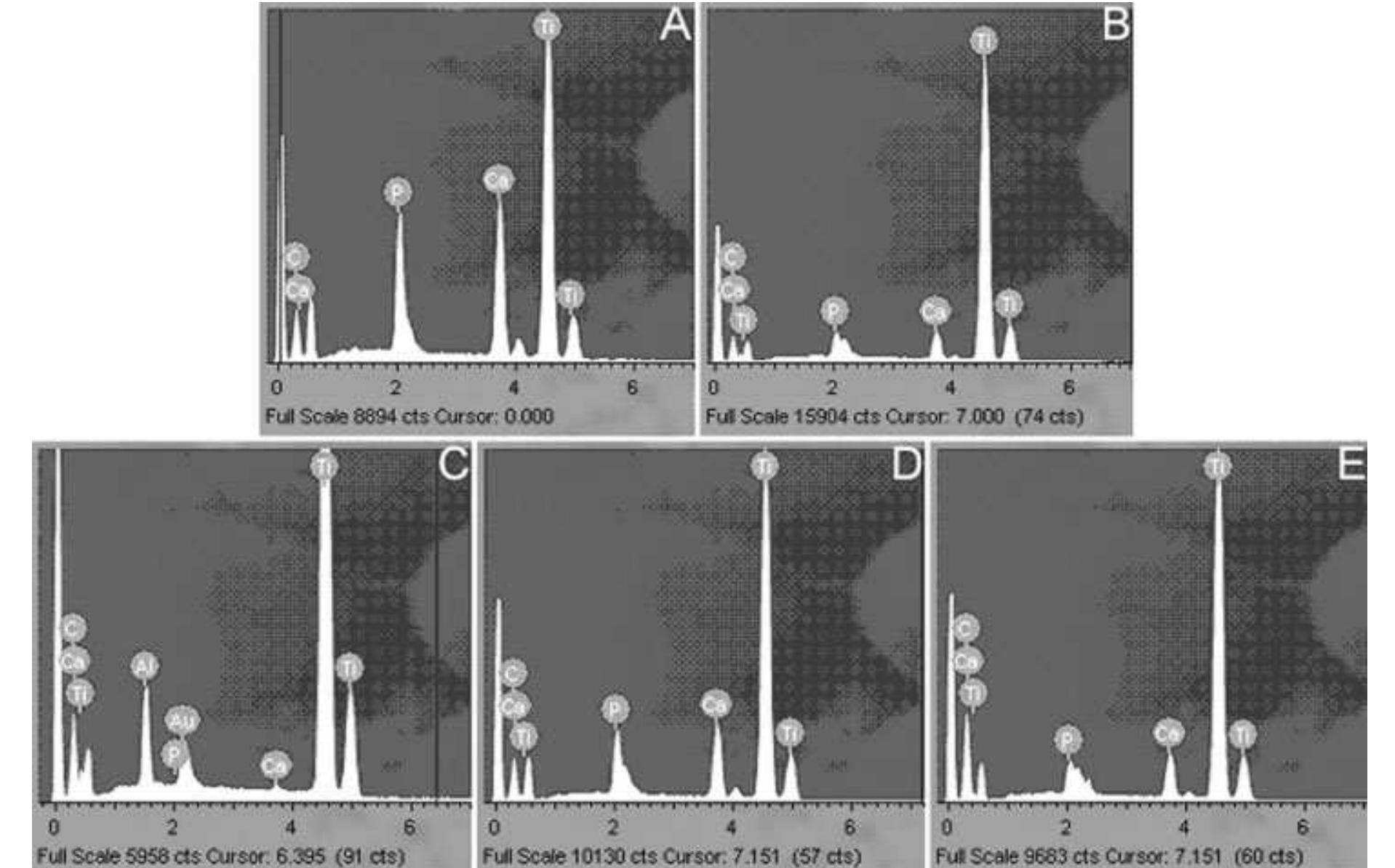 Electron dispersive spectroscopy spectra showing ca and p on