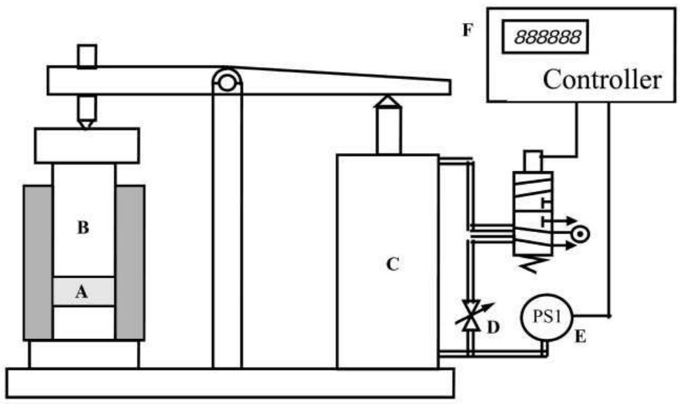 Schematic diagram of the experimental apparatus.