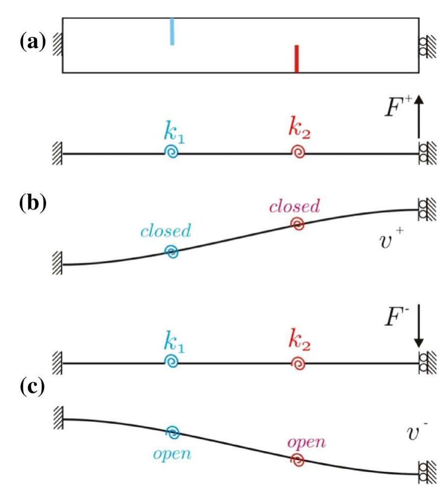 Indeterminate beam with two cracks both open and closed