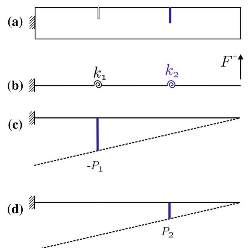 Cantilever beam with one open crack and one fatigue crack on