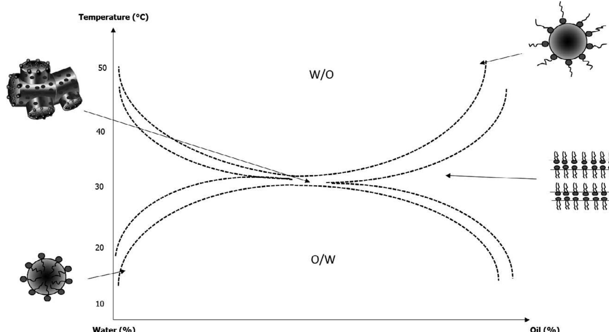 Schematic illustration of phase diagram of