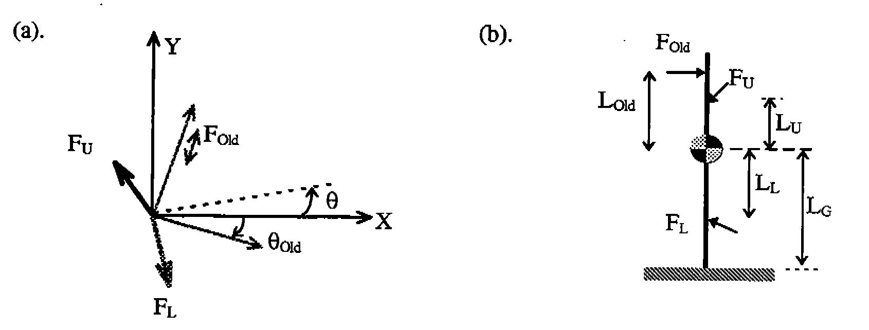 Angular and vertical location of the various forces exciting