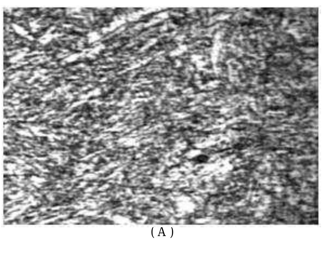 (a),(b),(c),(d) shows the microstructure of p91 as un-