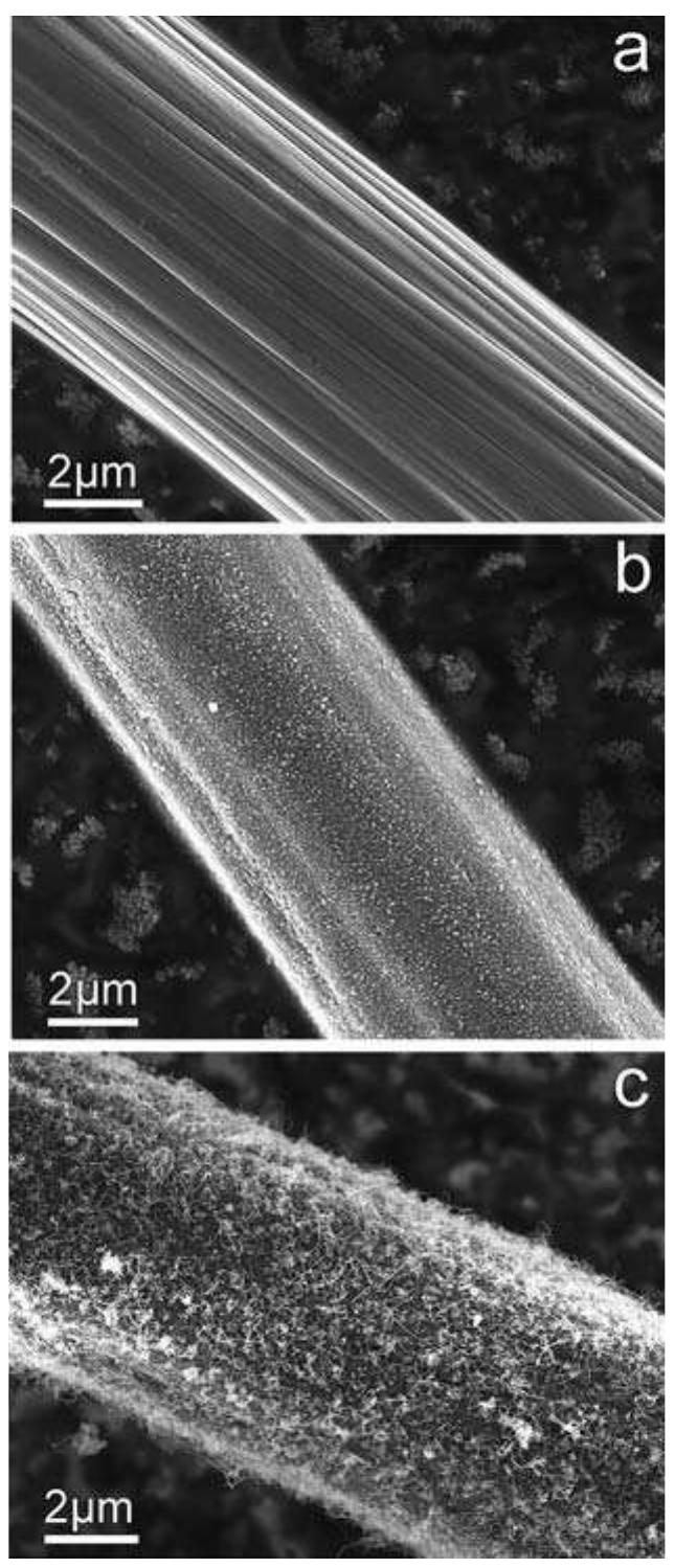 Sem images of carbon fibres after (a) surface oxidation, (b)